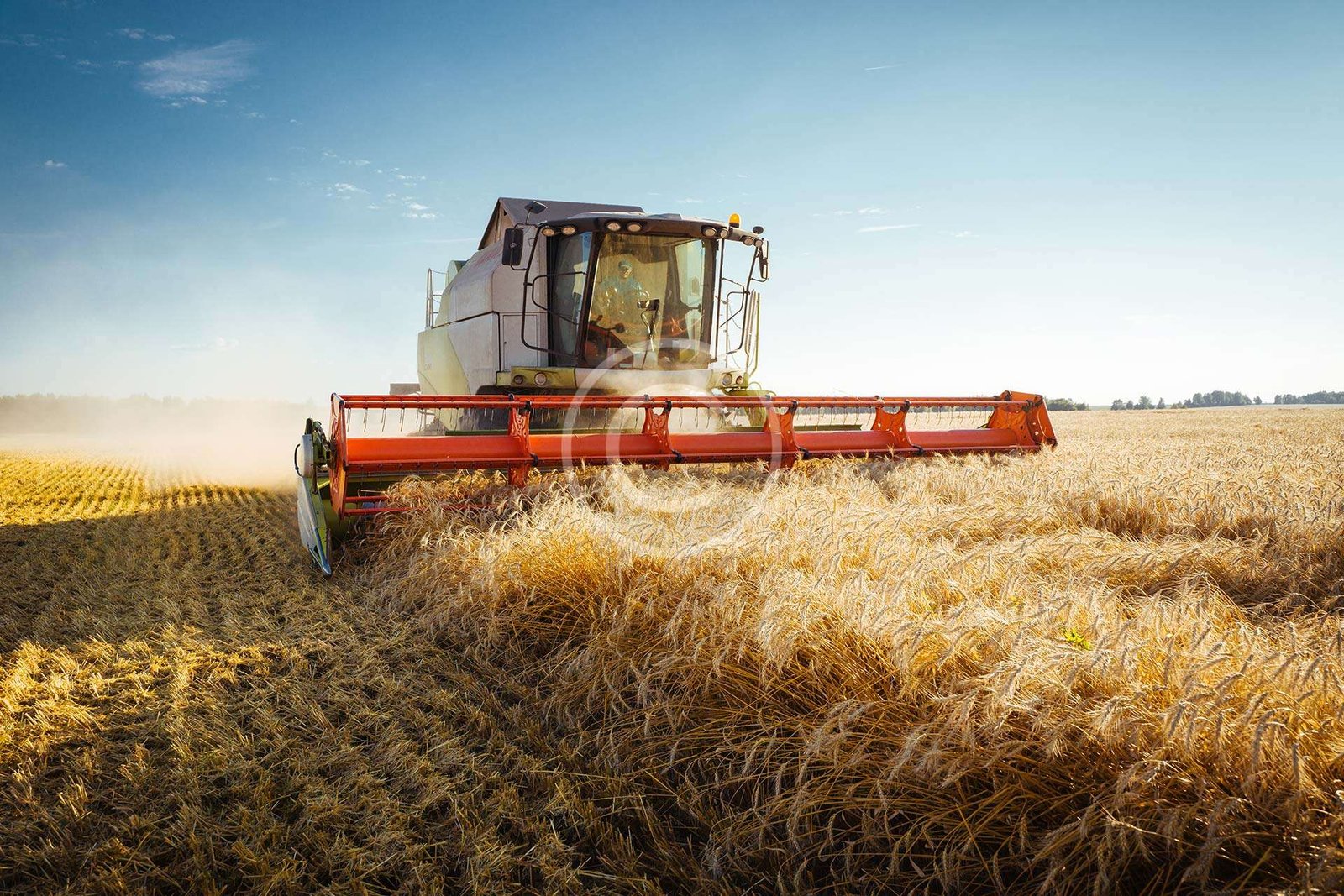 Top Five Strategies to Protect Crops from Wild Animals – Maruuti ...